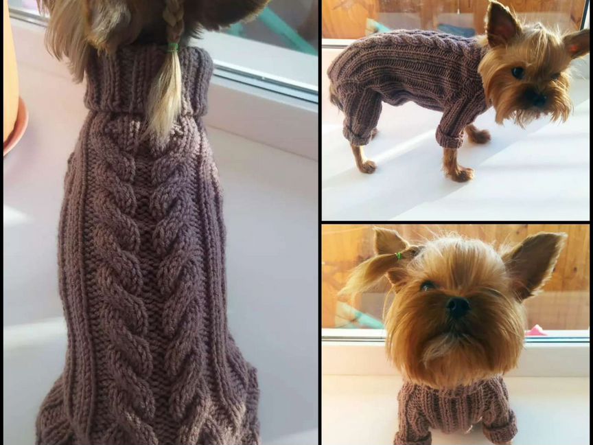 Комбинезон для собаки