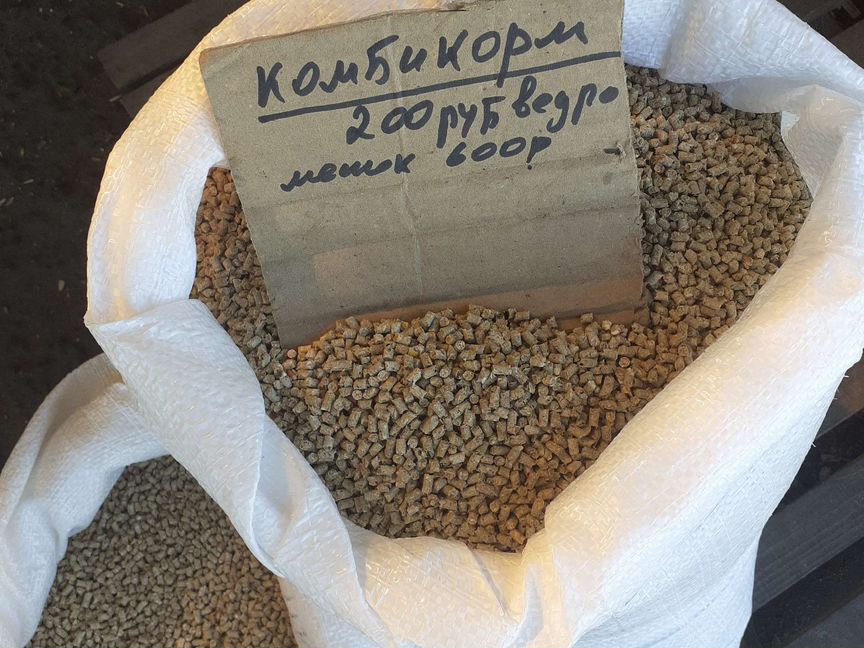 Комбикорм для кур несушек