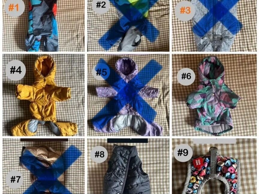 Одежда для собак, комбинезон, Osso