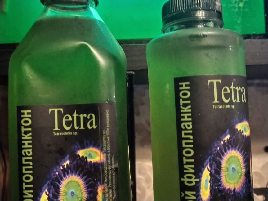 Тетраселмис