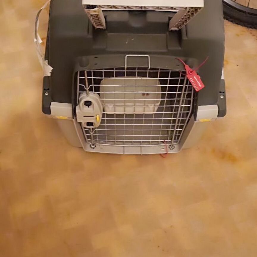 Переноска для крупных собак