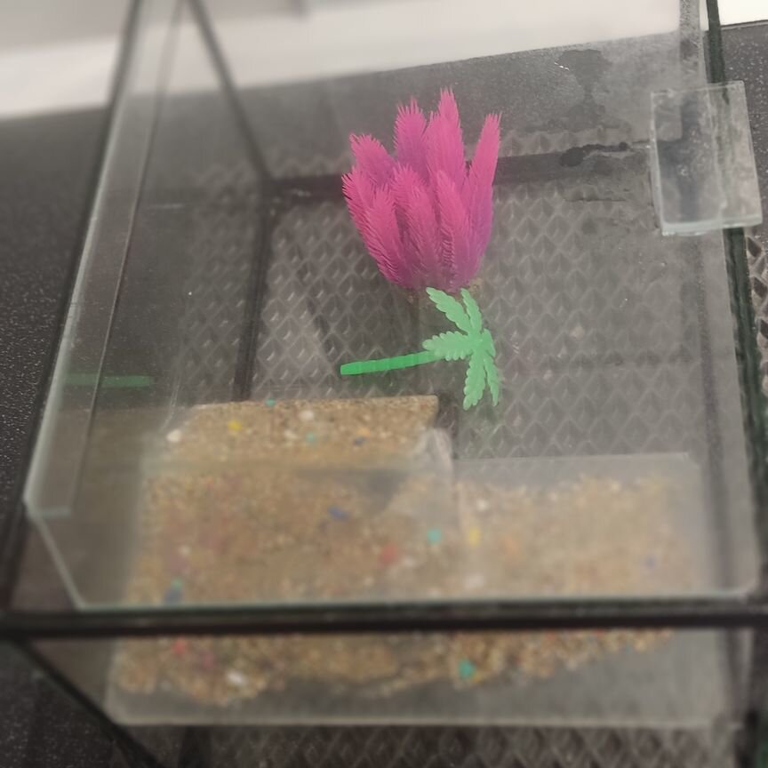 Акватеррариум для черепахи