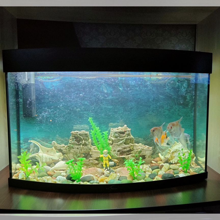 Аквариум