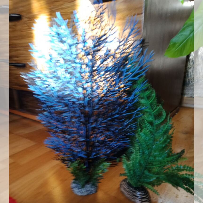 Аквариумные растения пластик