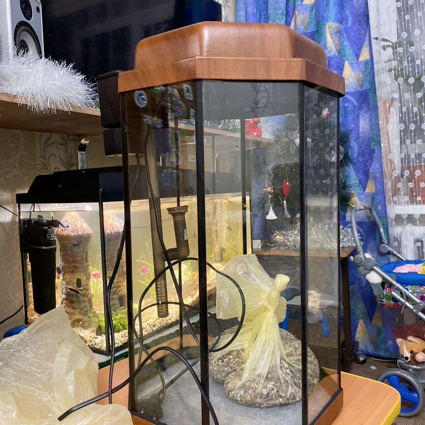 Аквариум, фильтр для аквариума