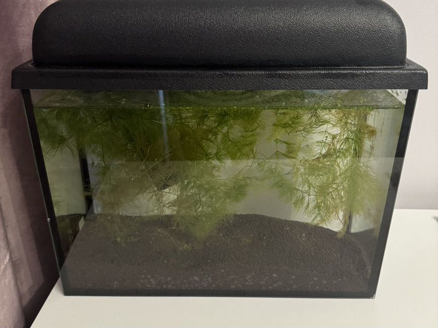 Аквариум 15 литров