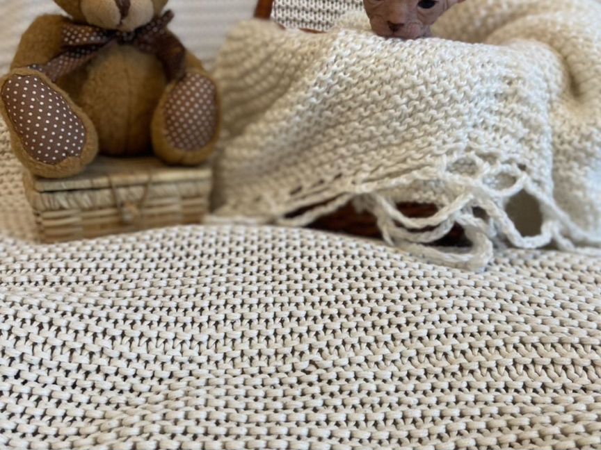 Канадский сфинкс эльф котенок