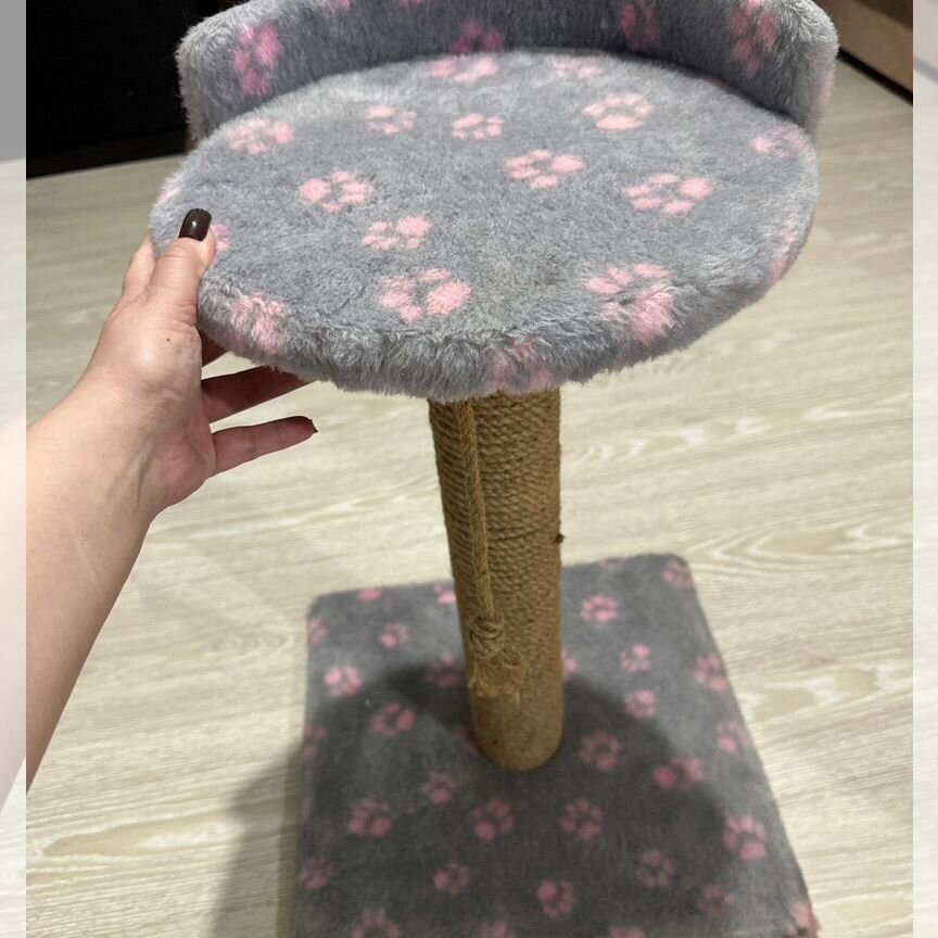 Когтеточка