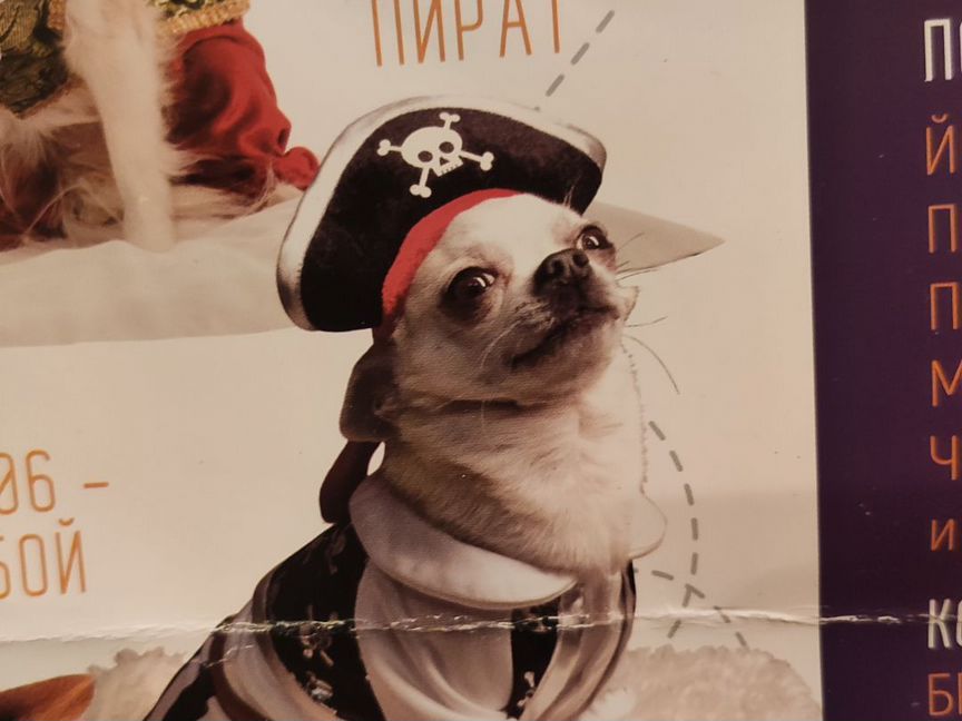 Костюм пирата