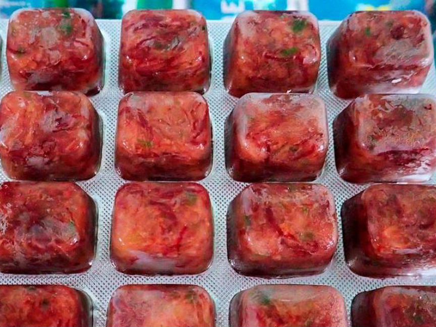 Корм Дискус, смесь замороженная (блистер)