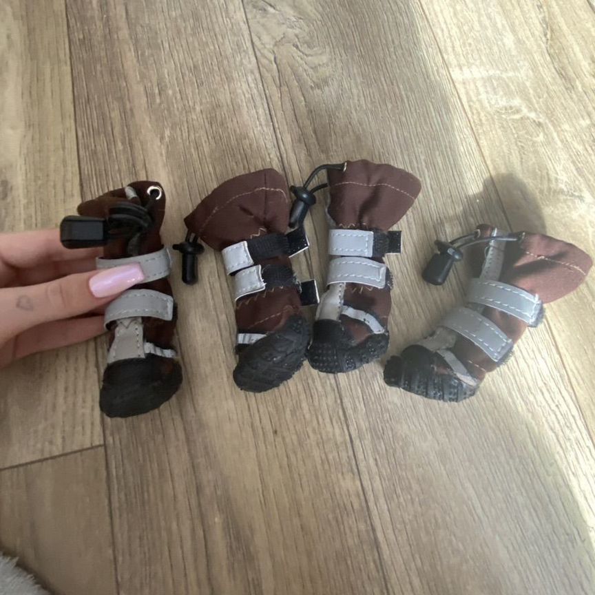 Одежда для собак мелких пород бу