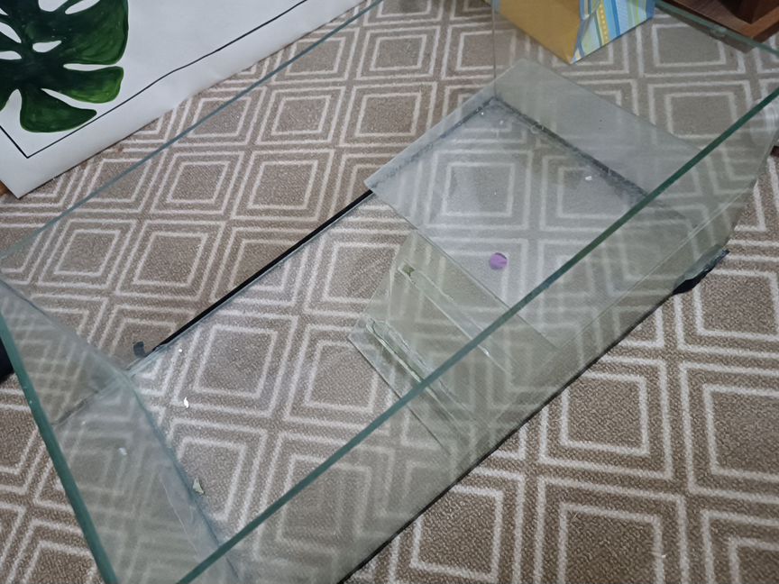 Аквариум для черепах, пресмыкающихся