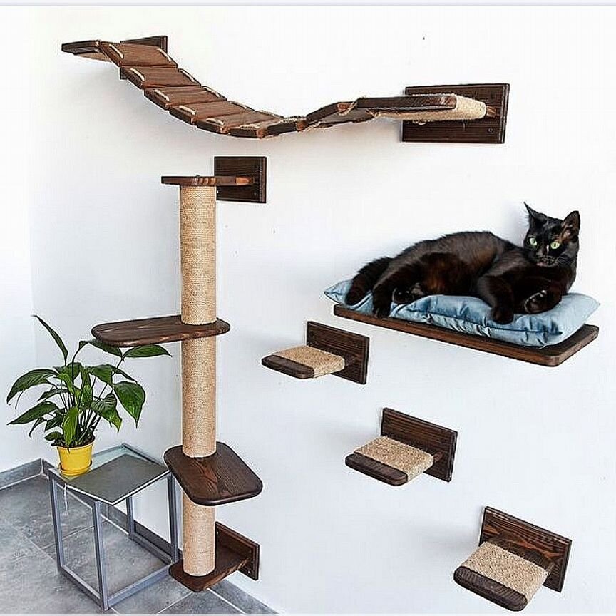 Игровые комплексы для кошек