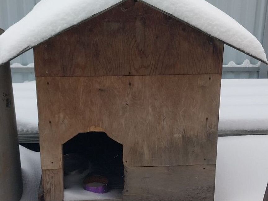 Собачья будка бу