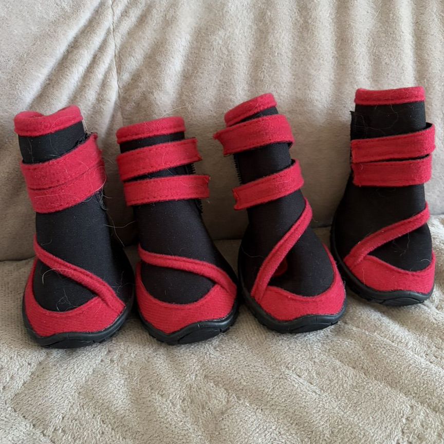 Обувь для собак