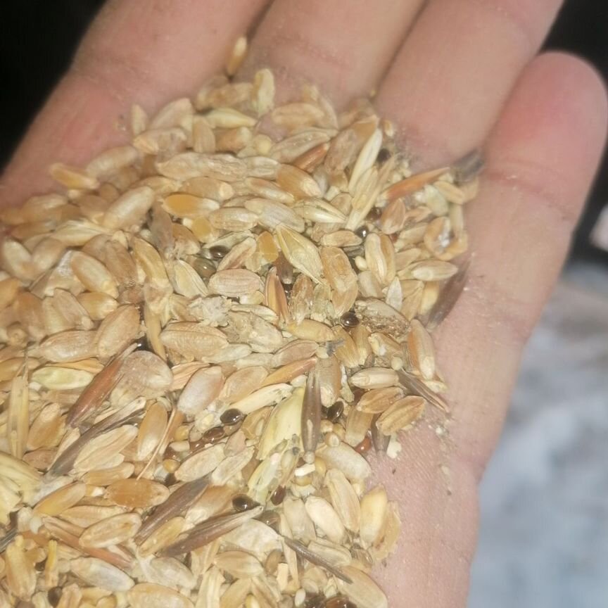 Зерновые отходы