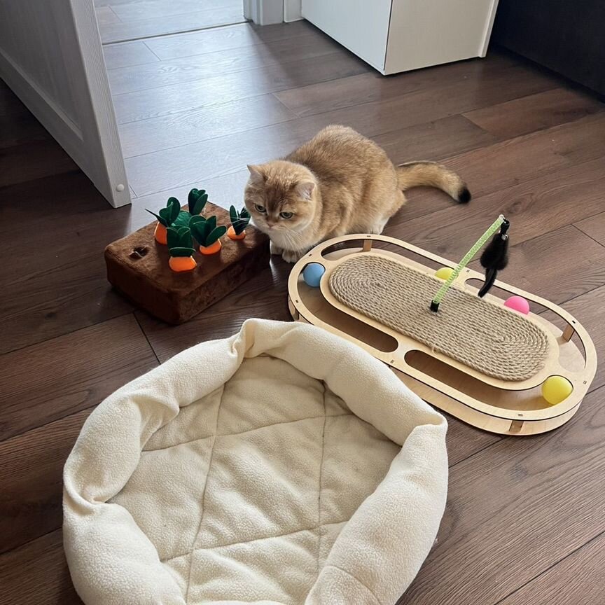 Лежанка для кошек и игрушки
