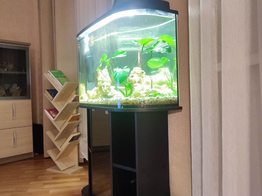 Аквариум Оазис 120 л., бесшовный, с тумбой
