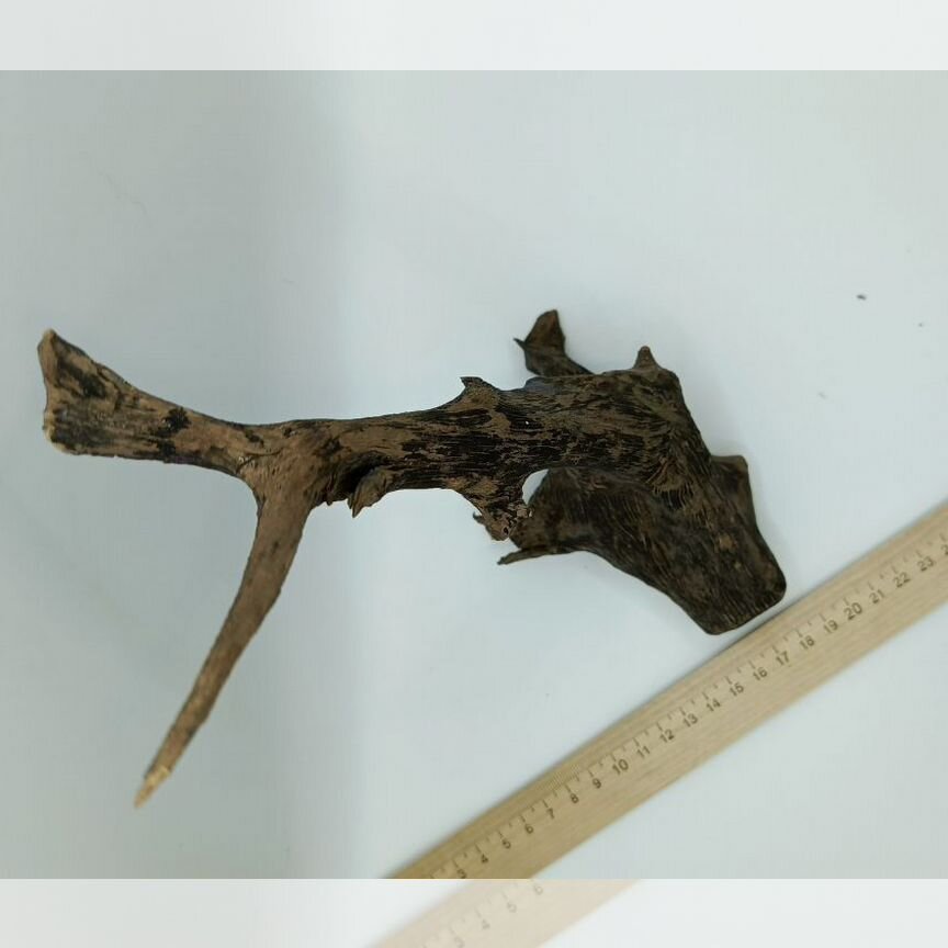 Коряга для декора аквариума