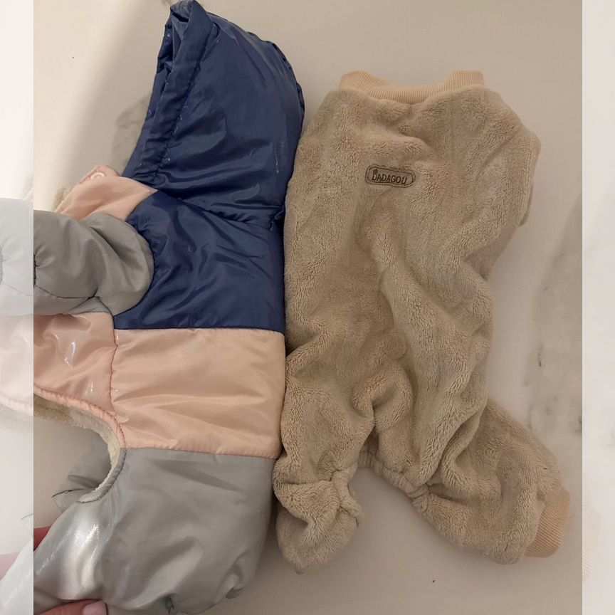 Одежда для собак