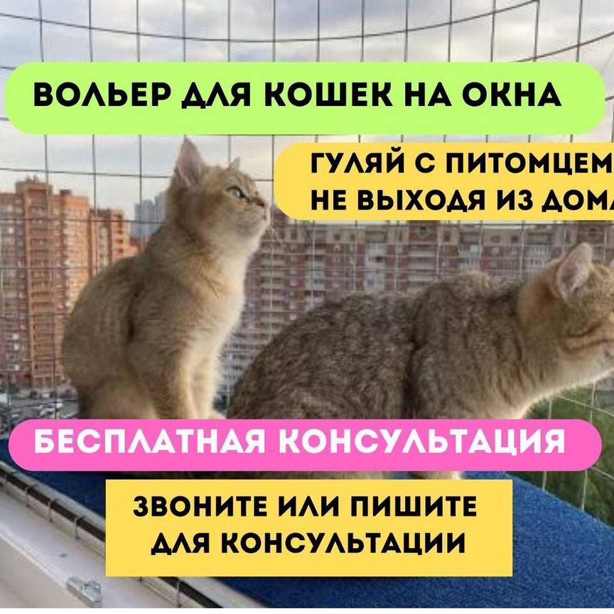 Балкончик для кошек/выгул