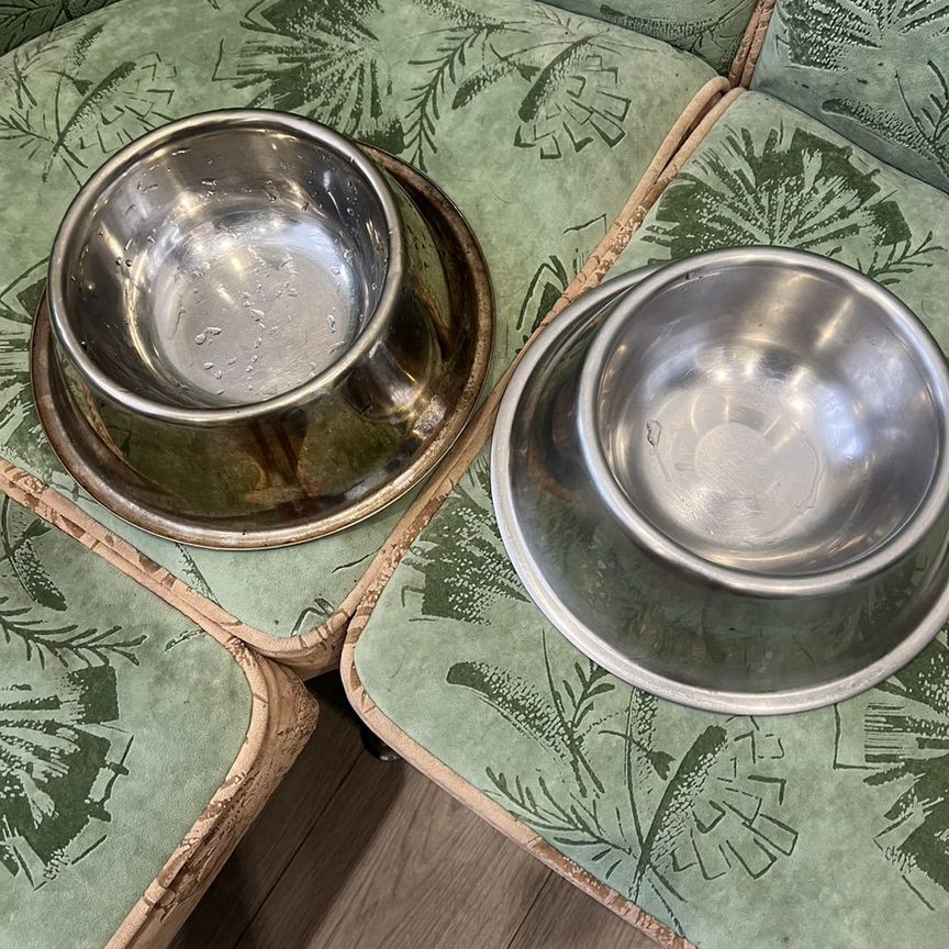 Тарелки для собак