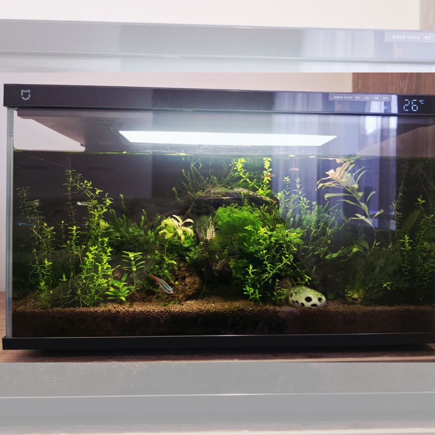 Умный аквариум Xiaomi с рыбками и растениями