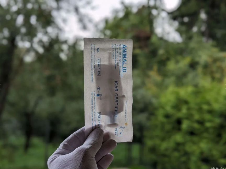 Чипирование Чип для животных 1.25х7 мм