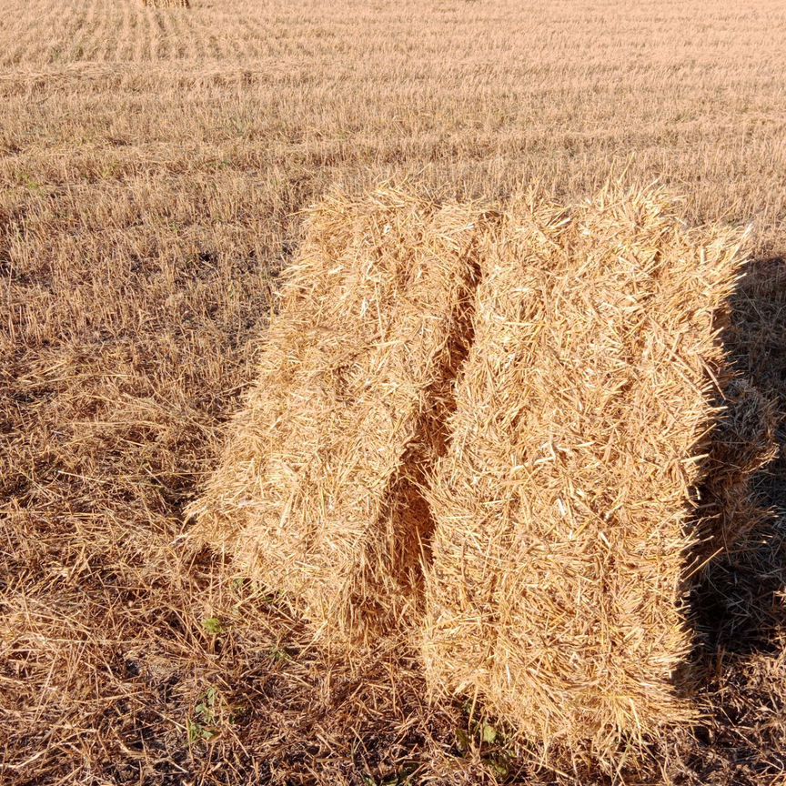 Солома в тюках