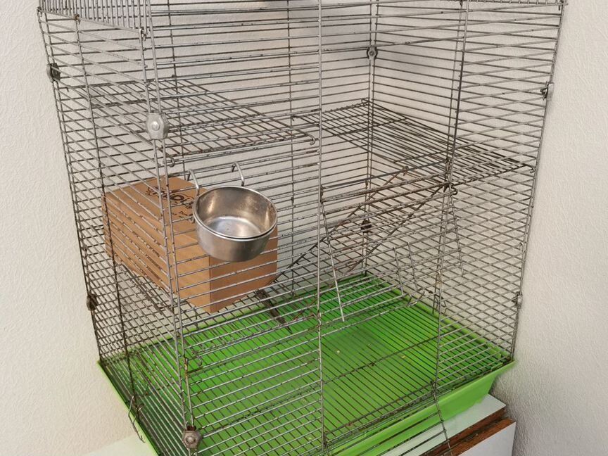 2 клетки для крыс