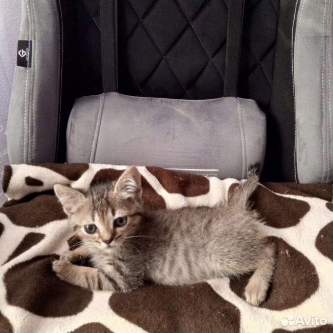 Милая крохотулечка