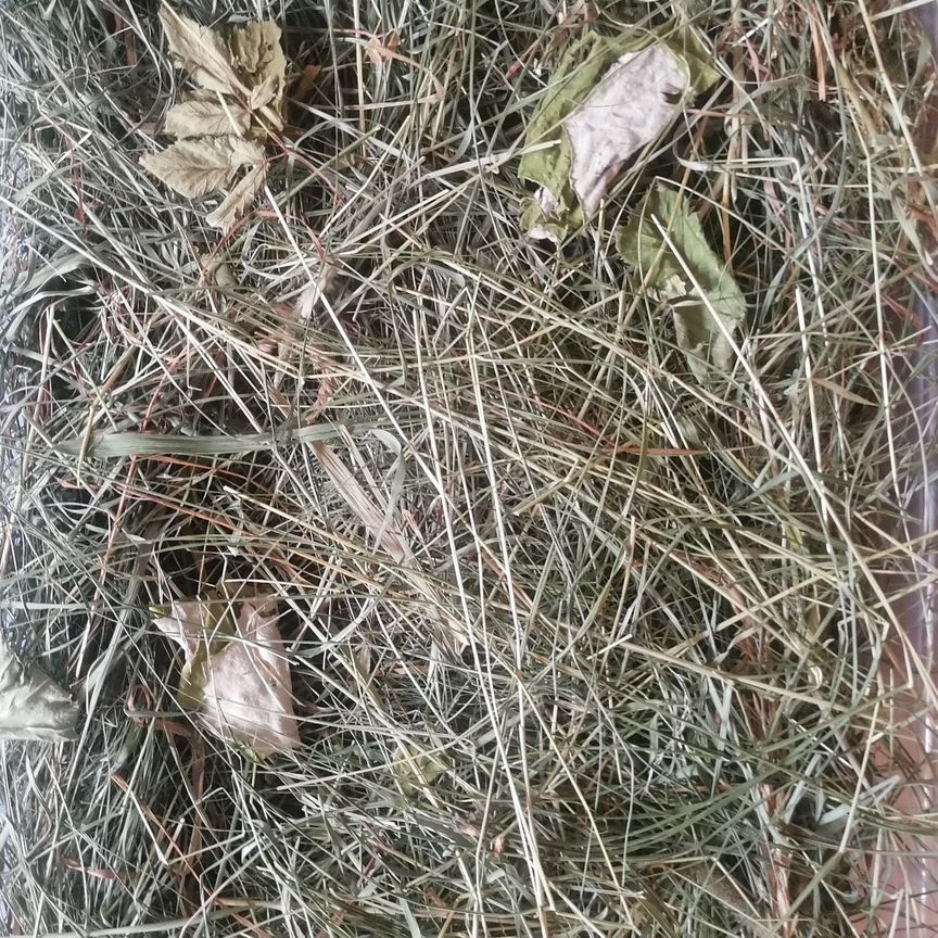 Сено в пакетах