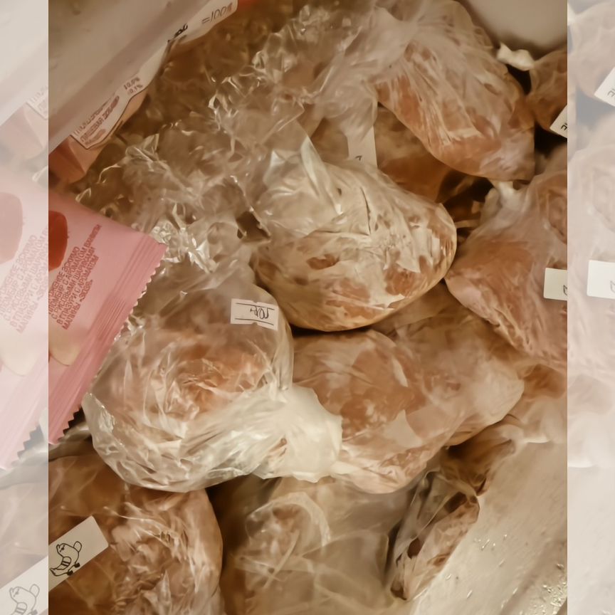 Мясо для животных