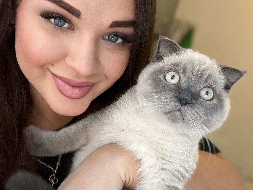 Отдам бесплатно