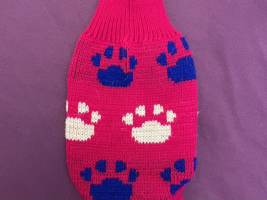 Одежда для собак