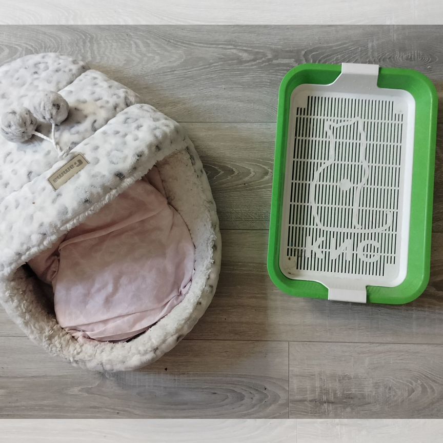 Кошачий лоток и лежанка, для котят