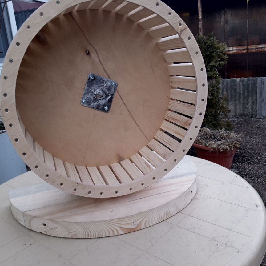 Колесо для белок