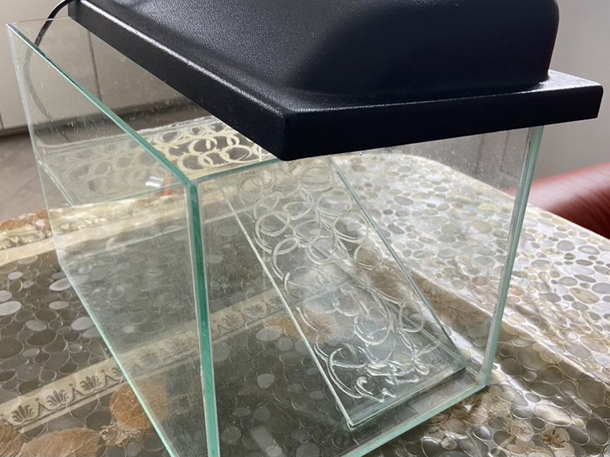 Террариум для красноухой черепахи