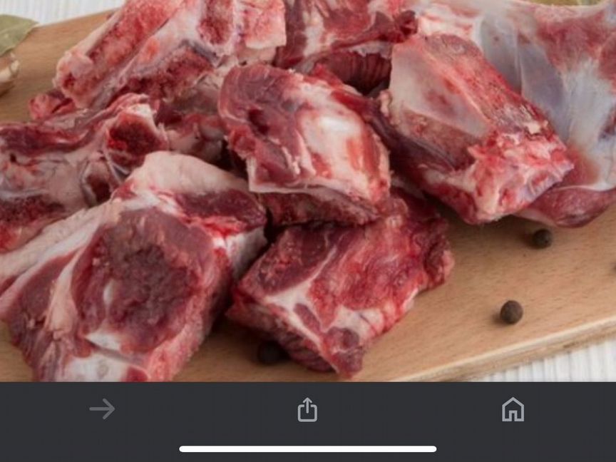 Корм для собак