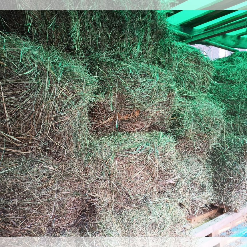 Сено в тюках