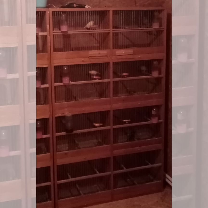 Боксы для певчих птиц