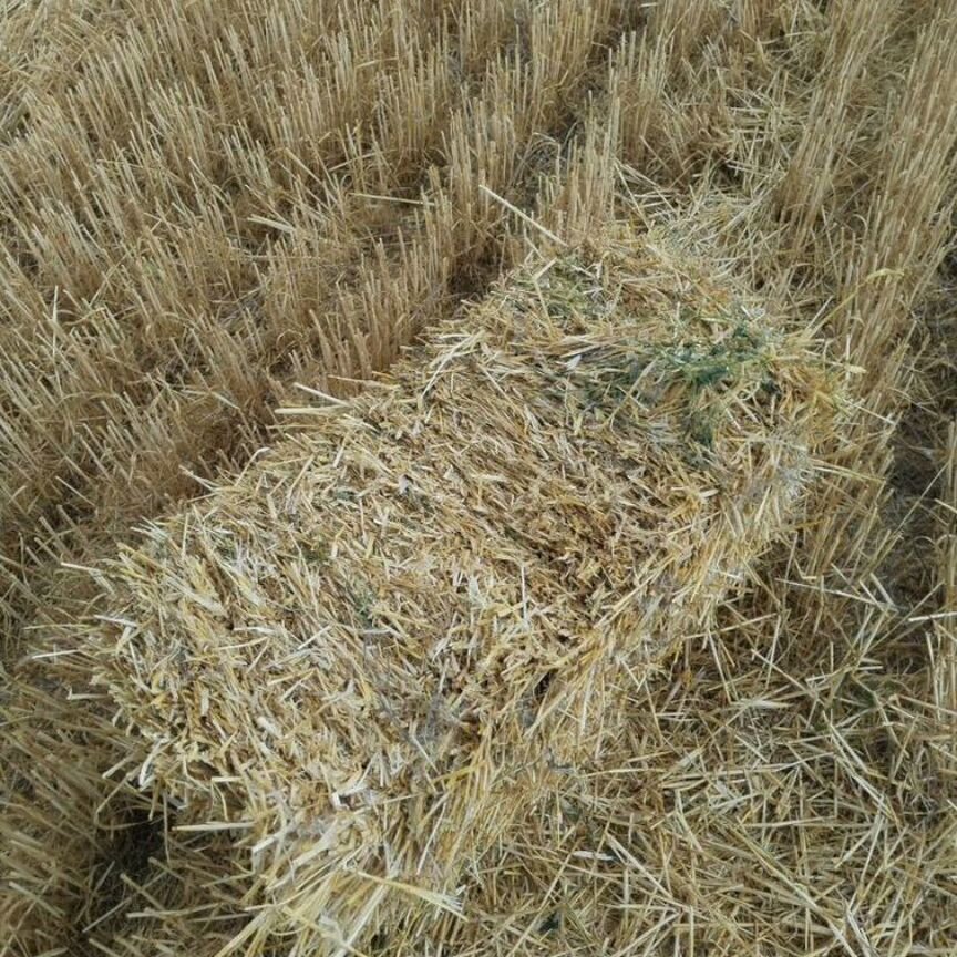 Солома в тюках