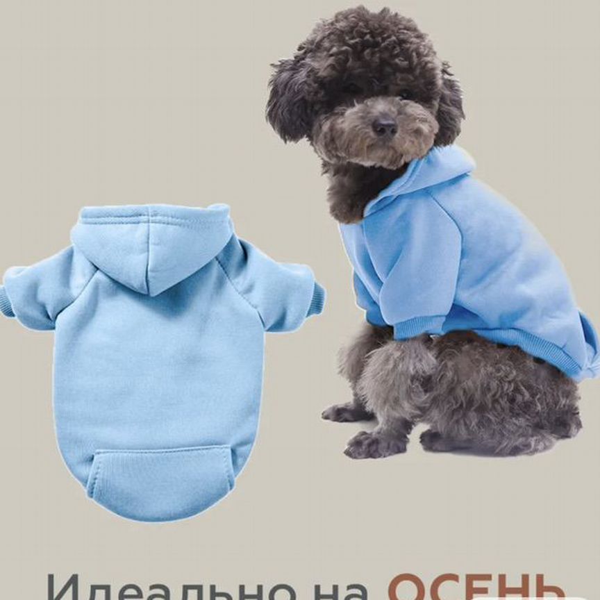 Одежда для собак