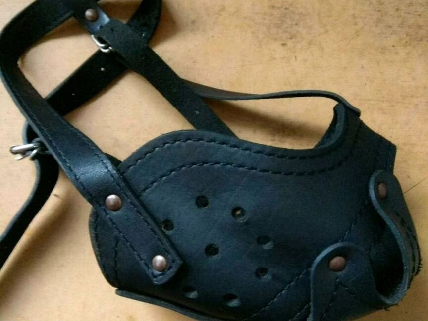 Продам амуницию для собак