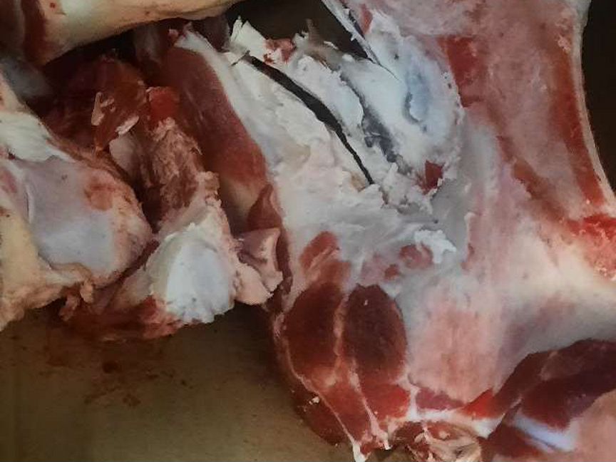 Товары для животных