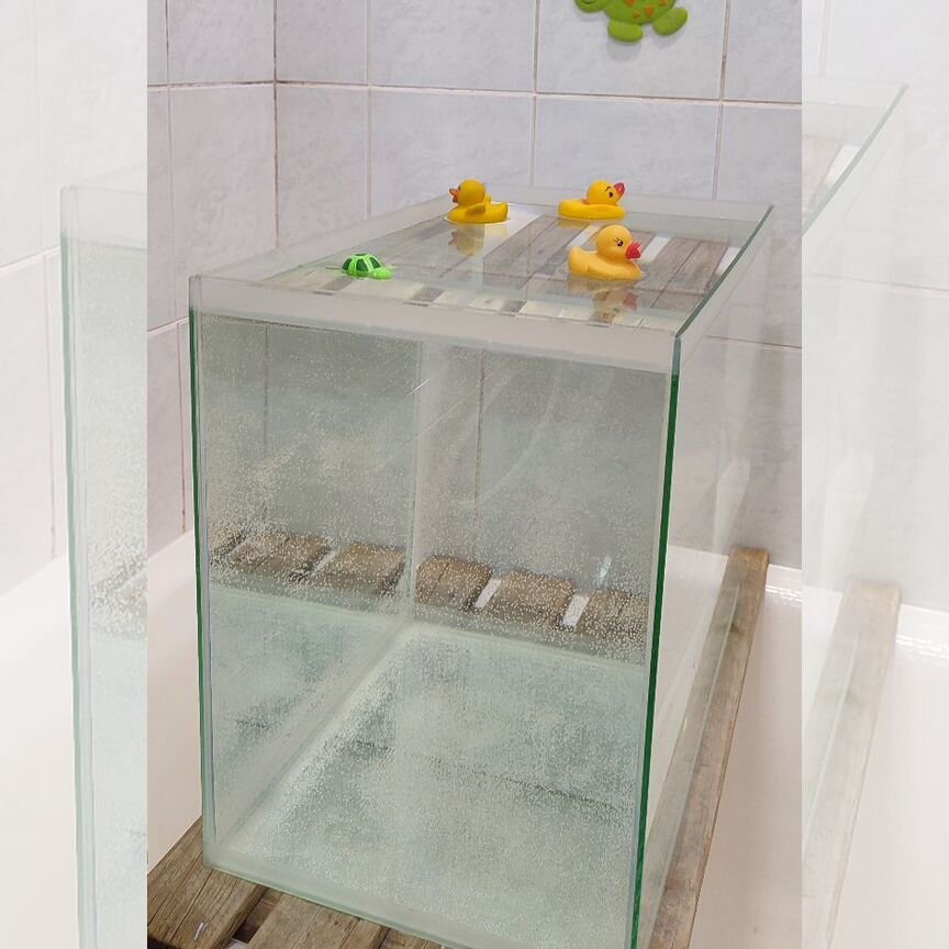 Аквариум 50л