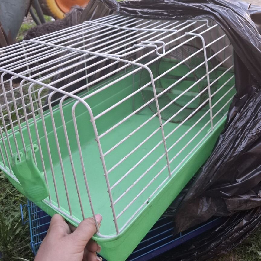 Клетка