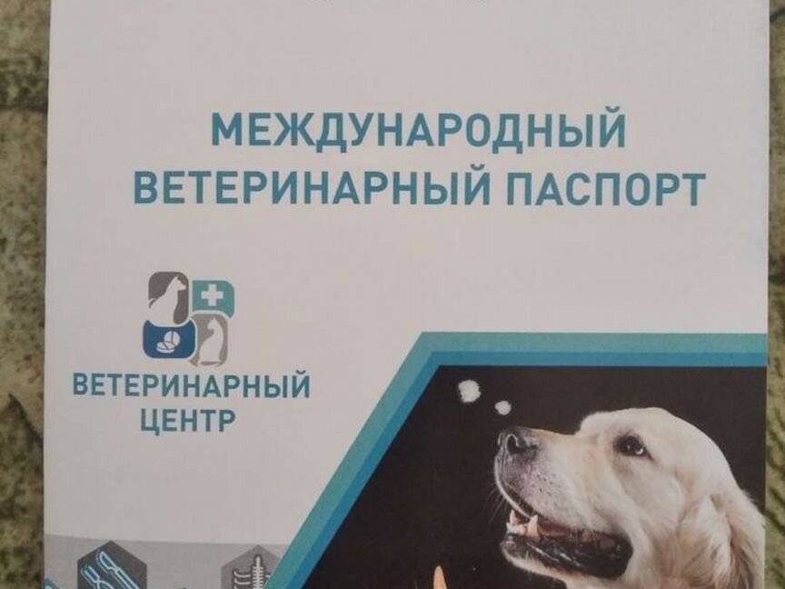 Ветеринарный паспорт