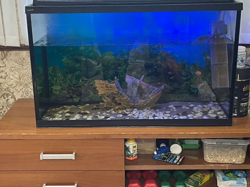 Украшение для аквариума