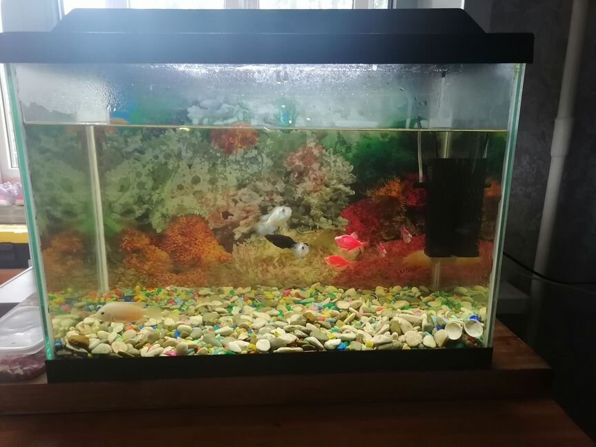 Аквариум 65 л